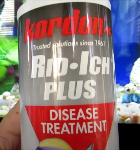 Kordon Rid-Ich Control Fish Disease Treatment Fresh Saltwater 4 Oz, 16 ...