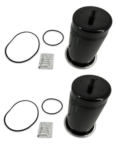 Set of 2 Air Dryer Cartridge for AD-9 065225 (Replaces Bendix 107794 ...