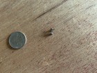 Caduceus "61" Broken Lapel Pin 1961 Vtg Tiny Small Military Wings ...