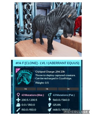 ark survival ascended pve SOLID ID14 ABERRANT EQUUS LEVEL 1 FEMALE ...