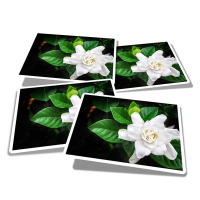 4x Vinyl Stickers White Gardenias Flower #52449 | eBay UK
