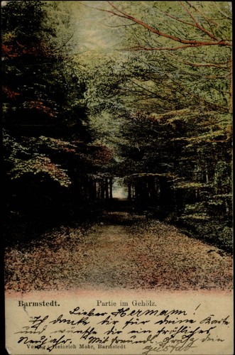 Barmstedt Germany country road in woods UDB 1908 BORNHOLDT San ...