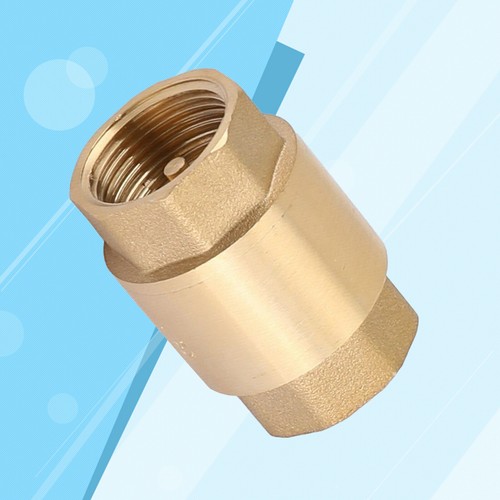 DN20 3/4" NPT In-Line Check Valve Brass Spring Loaded Inline 200PSI ...