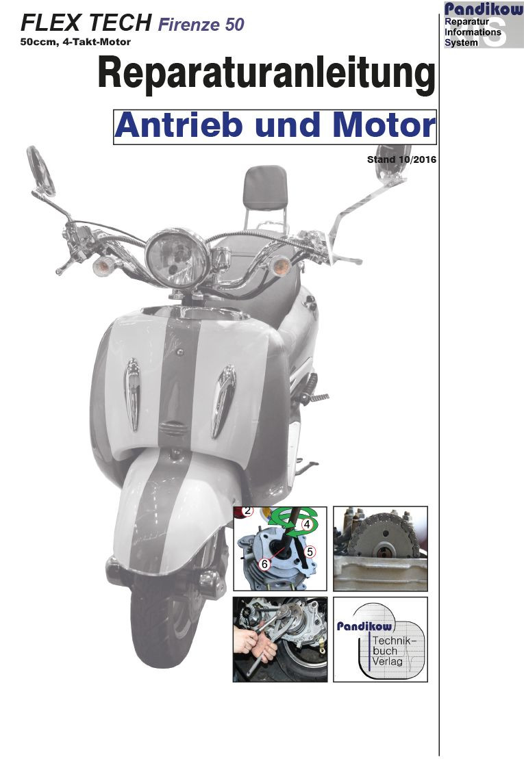 Reparaturanleitung RIS Flex Tech Firenze 50, 4T, Antrieb und Motor