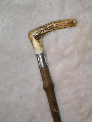 Antique Holly Walking Stick/Cane W/ Antler Fritz & H/m 1909 Silver ...