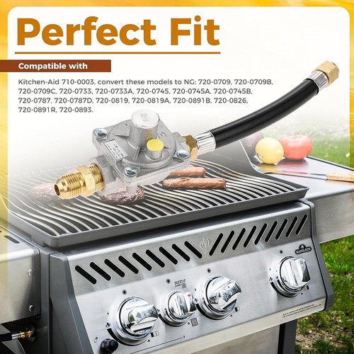 Propane Gas Grill Natural Gas Conversion Kit Regulator with Hose for ...