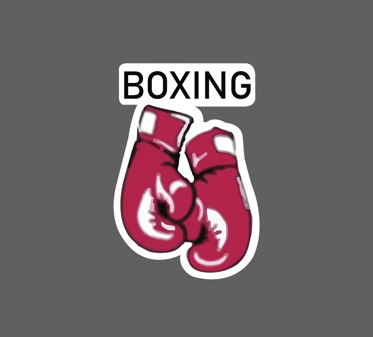 Boxing Decals GIRLS BOXING WOMEN'S BOXING GLOVES BOXER S35 2 STICKERS