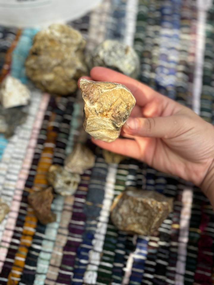 6 LBS (2"-4 1/2" L) TN Creek Natural Chert Rocks Knapping Capping ...