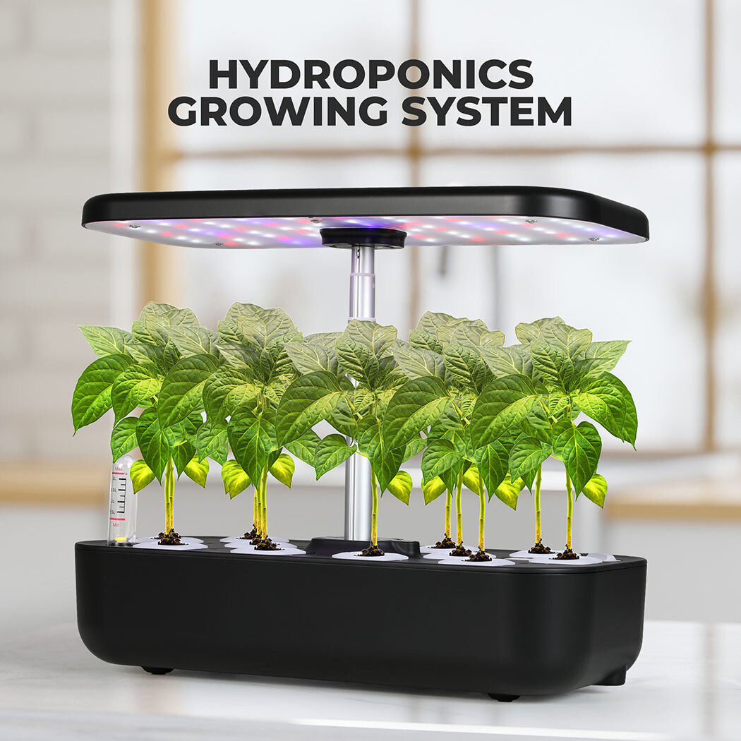 Hydroponics Growing With Seeds 5 Tips To Improve The Reliability Of