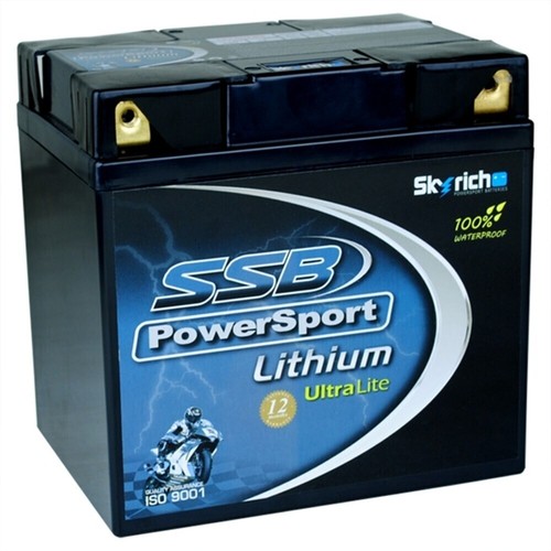 SSB 420CCA Lithium Battery for 2021-2022 Harley Davidson 1920 ...