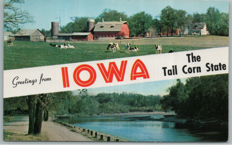 Vintage Postcard Greetings from Iowa The Tall Corn State | eBay