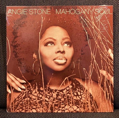 (USED)ANGIE STONE Mahogany Soul 2-disc record set | eBay