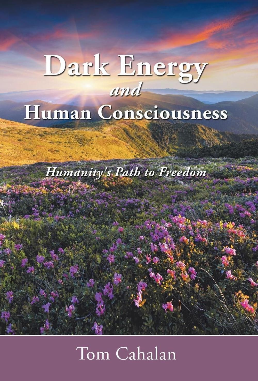 Dark Energy and Human Consciousness : Humanity's Path to Freedom by Tom ...