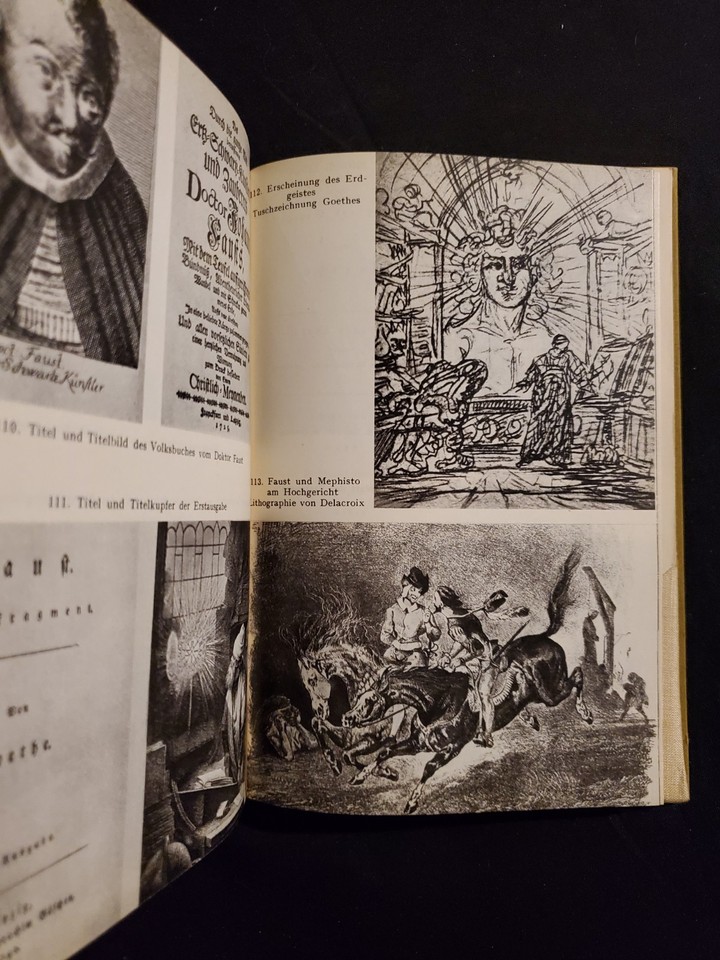 Johann Wolfgang Goethe. Sein Leben in 150 Bildern By Walter Hoyer - HC ...