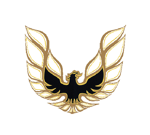 76-78 BANDIT TRANS AM SPECIAL EDITION COMPLETE GOLD DECAL KIT w STRIPES ...