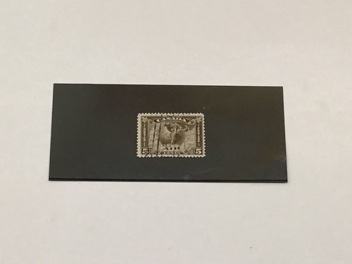 1930 CANADA AIR MAIL STAMP, C2 5C OLIVE BROWN MERCURY, WITH SCROLL IN ...