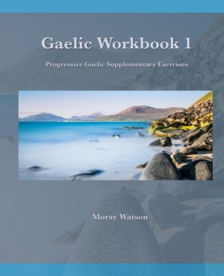 Gaelic Workbook 1: Progressive Gaelic Level 1 Workbook | eBay
