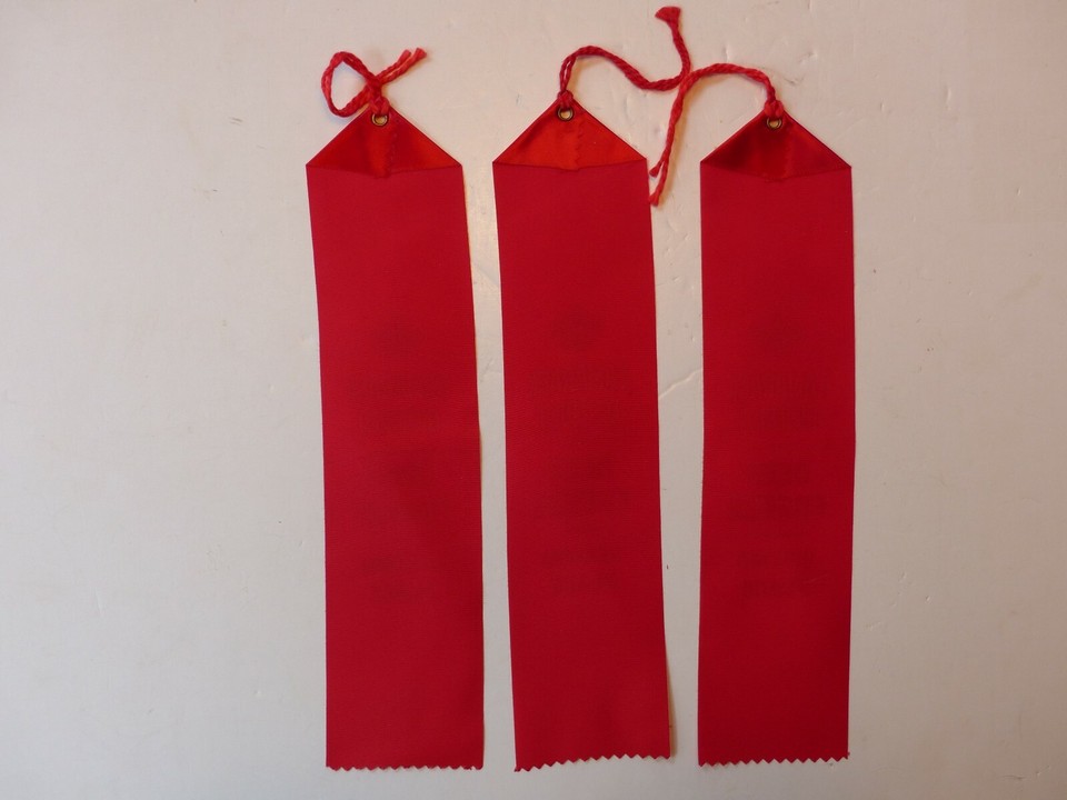 3 Second Place Vintage Tamarack Disctrict DEEP FREEZE Boy Scout BSA ...