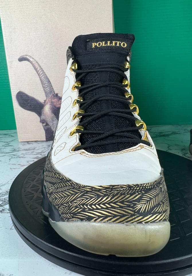Air Jordan 9 Retro DB Doernbecher 'Pollito' 580892-170 Used US 10 NO OG ...