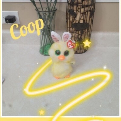 Ty COOP Easter Chick with Bunny Ears Beanie Boo - MWMT - 6" | eBay