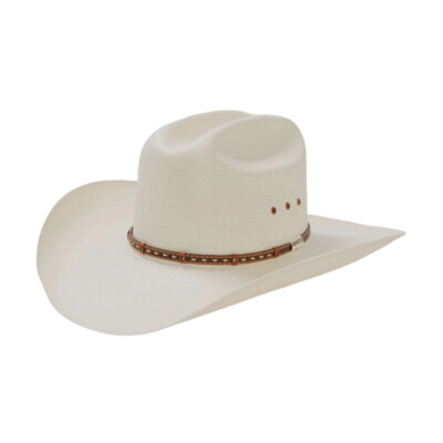 STETSON Gunfighter 10X Natural Cowboy Hat (SSGNFT-6642) | eBay