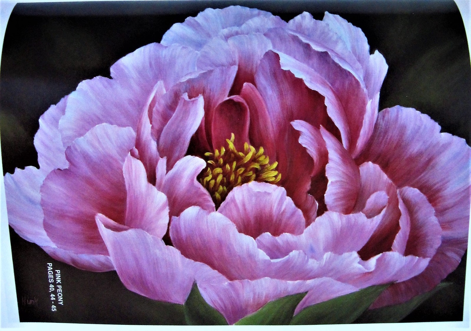 Garden Collection Painting Book Bev Hink Birdwell Susan Scheewe Floral ...