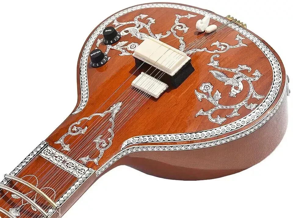 Electric Sitar Professional Indian Musical String Instrument Electric ...
