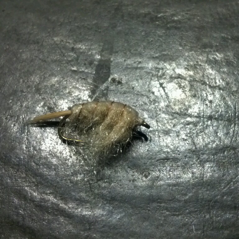 6 SCUDS TAN SCUD NYMPHS SIZE 14 LIGAS FLY FISHING FLIES | eBay