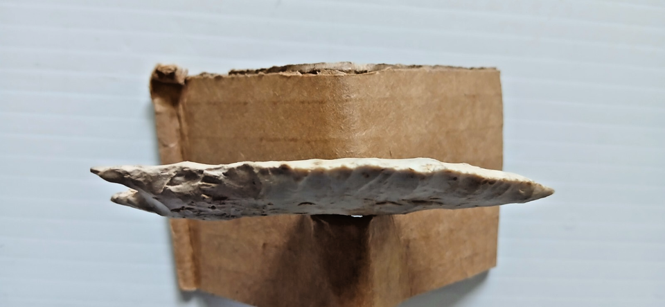 Paleo Native American Indian 3 5/16" Fishtail Point Arrowhead Howard Co ...