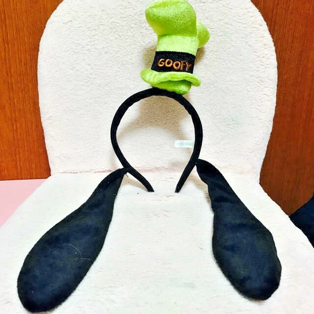 Homemade Goofy Hat