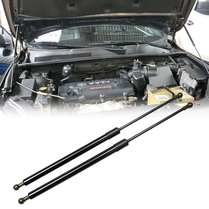 Hood Lift Struts