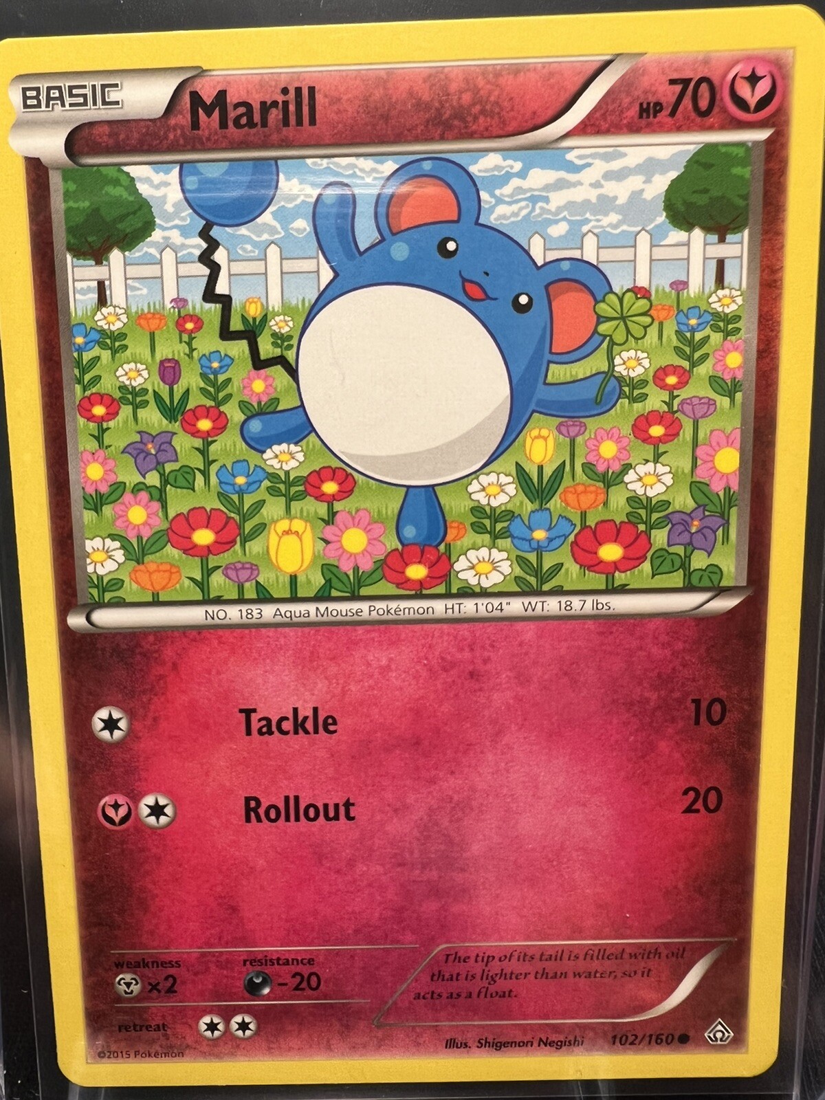 Pokémon TCG Marill Primal Clash 102/160 Regular Common 2015 - LP | eBay