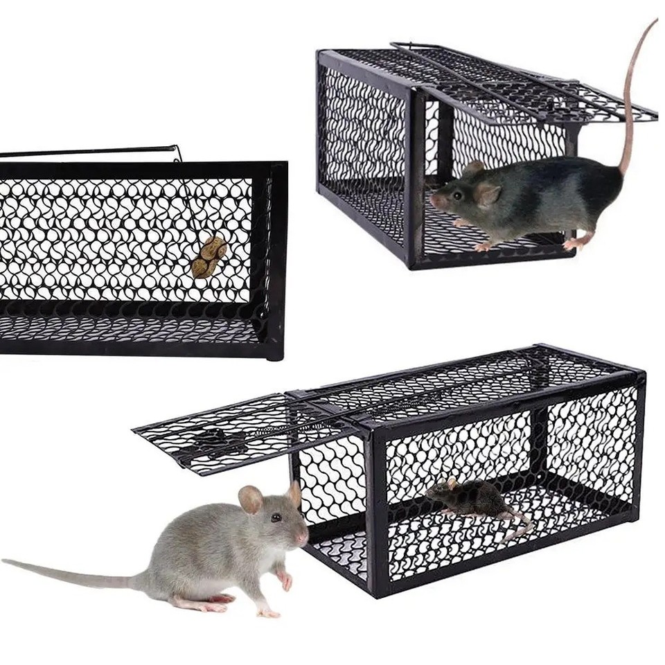 USA Mouse Trap Rat Trap Rodent Trap Live Catch Cage, Easy to Set Up and ...