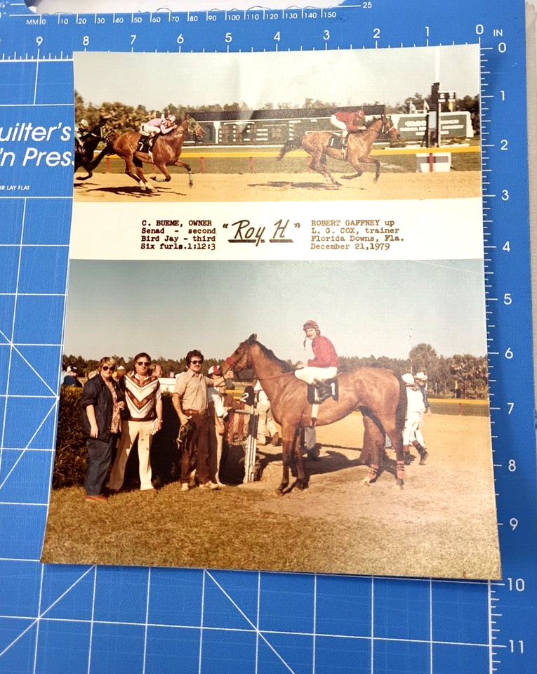 Vtg 1979 Photograph Roy H Race Horse Florida Downs Fla Winner Bueme Cox ...