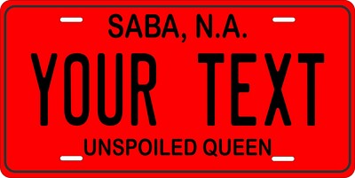 Saba 2004 License Plate Personalized Car Auto Bike Motorcycle Custom | eBay