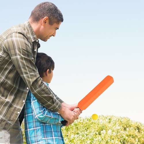 1 Set of Training Baseball Bat Lightweight Baseball Bat Portable Sports ...