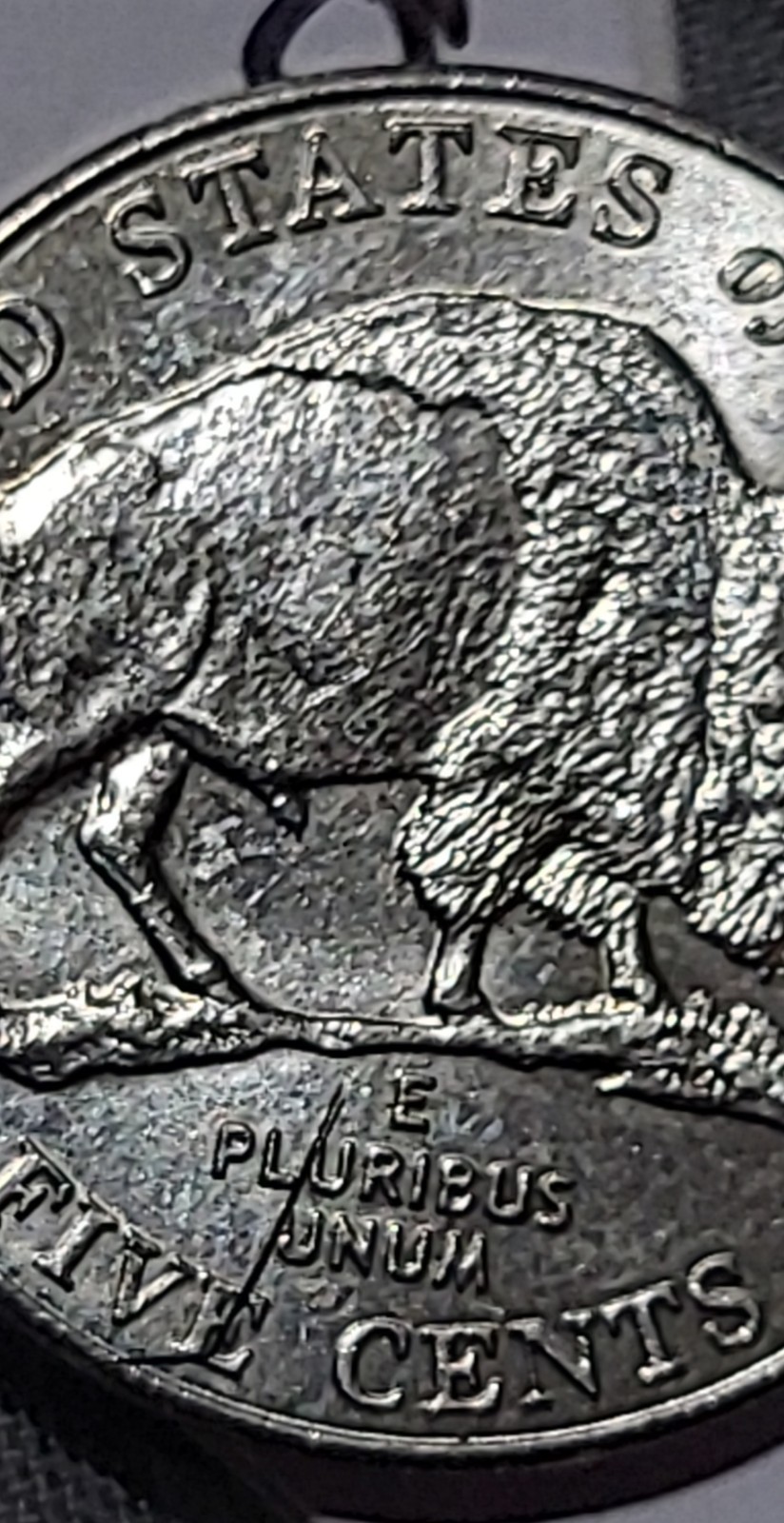 RARE, 2005 D Spear Bison Jefferson Buffalo Nickel unique and valuable ...