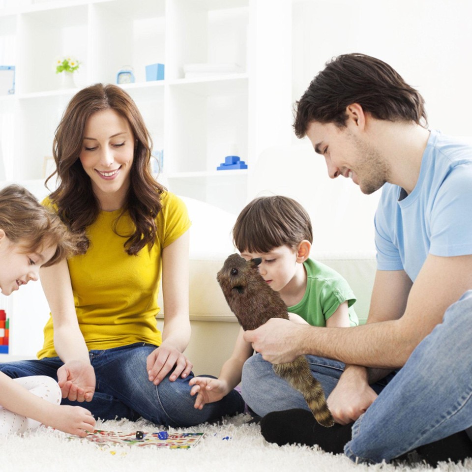 Stuffed Raccoon Simulation Raccoon Magic Toy Moving Spring Raccoon | eBay