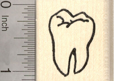 Tooth Rubber Stamp, Molar, Dentist, Dental D26919 WM | eBay