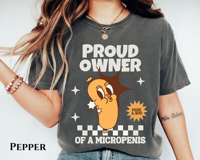 Embarrassing Comfort Color Shirt Inappropriate Retro 90s Humor Funny | eBay