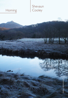 NEW BOOK Homing by Shevaun Cooley (2017) 9781925336207 | eBay Australia