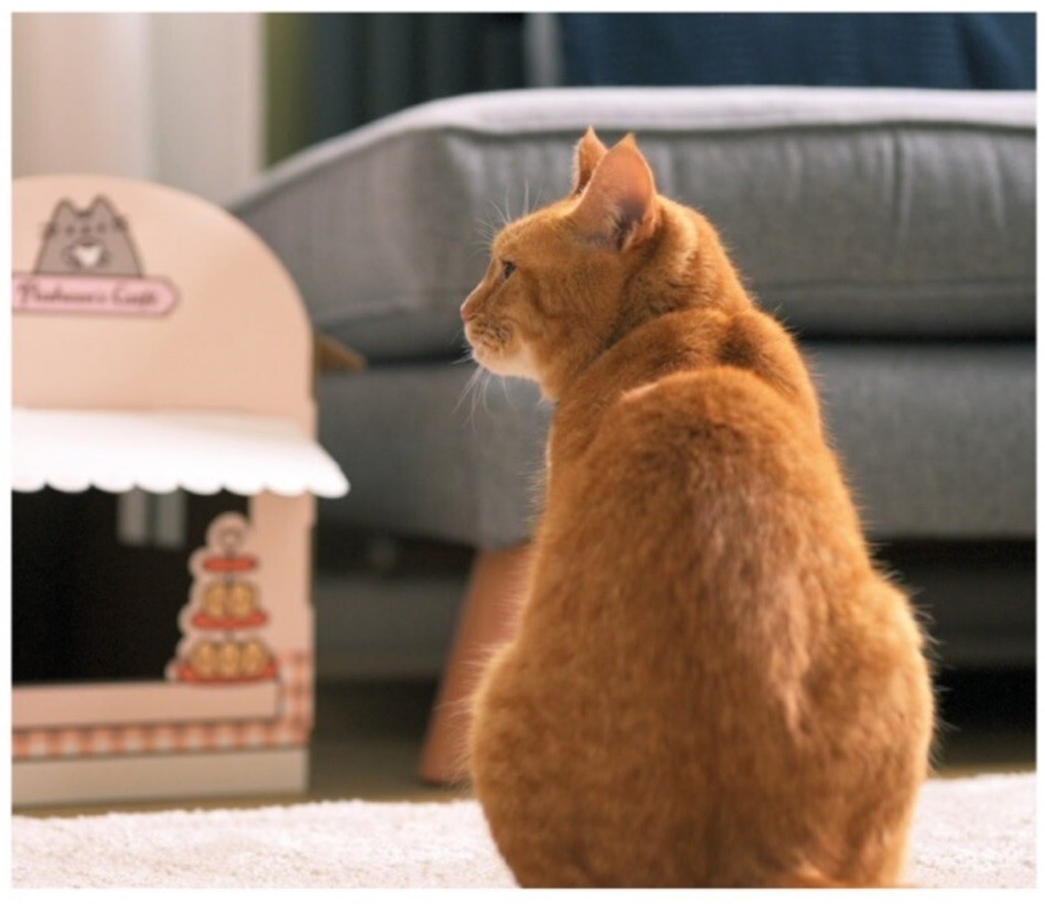 Pusheen the Cat Cardboard Den Playhouse - Build Kit Scratch Hideaway ...