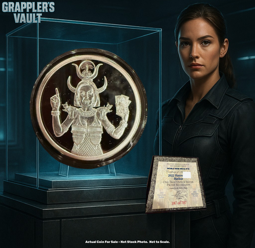 Silver Shield World War MEme #16 🔥 2022 Hatewho%% Hathor 🔥 Hard to Find ...