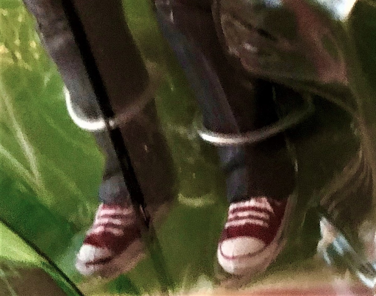 Tenth Doctor Shoes Red