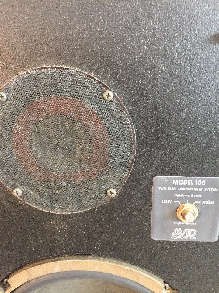 Vintage Avid Model 100 Floor Bookshelf Two-Way Audiophile Speakers Made ...