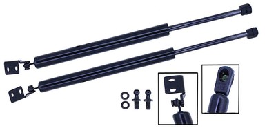 2 REAR TRUNK LID LIFT SUPPORTS SHOCKS STRUTS ARMS PROPS RODS DAMPER | eBay