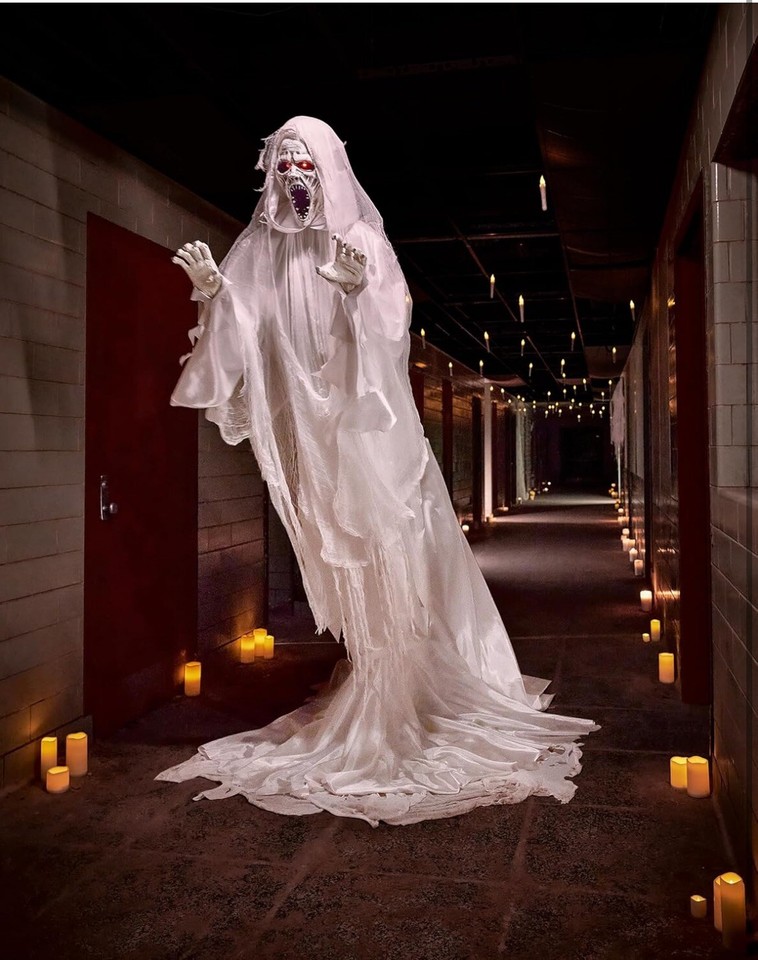Spirit Halloween 7 Ft Emmeline Animatronic Ghost Demon Animated Reaper ...