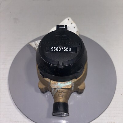 Badger model 25 water meter Record all 33262-003 96087520 | eBay