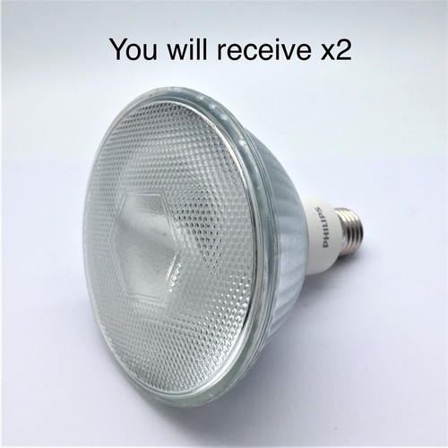 Philips Ambiance 23W Wide Beam 1200lm Cool Daylight PAR38 E27 IP54 x2 ...
