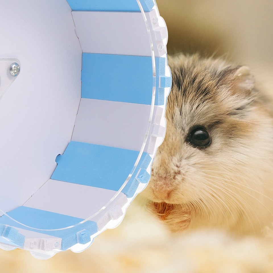 Household Hamster Wheel Silent Runner Small Animal Exercise Wheels ...